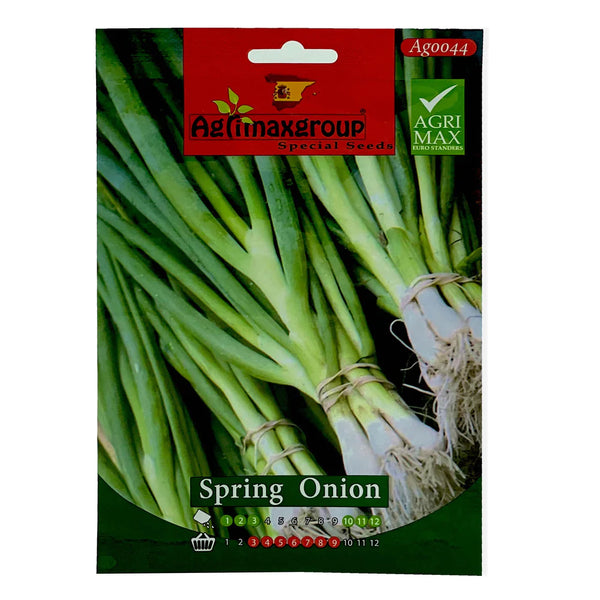 Spring Onion Seeds – homesupplies.ae