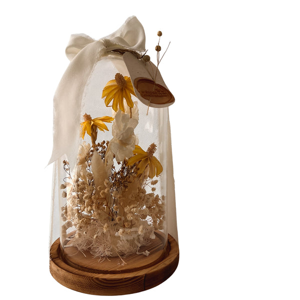 Buy Emilia Daisy Dome Online In Dubai, Sharjah, Abu Dhabi, Ajman & UAE ...